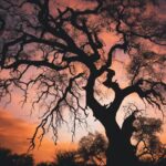 What Are Texas' Most Notorious Hanging Trees? - Silent Balance